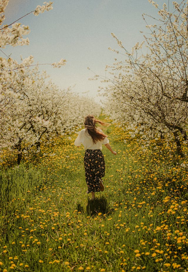 Winter Spring Summer or Fall: A Simple Guide for Every Season - Your ...
